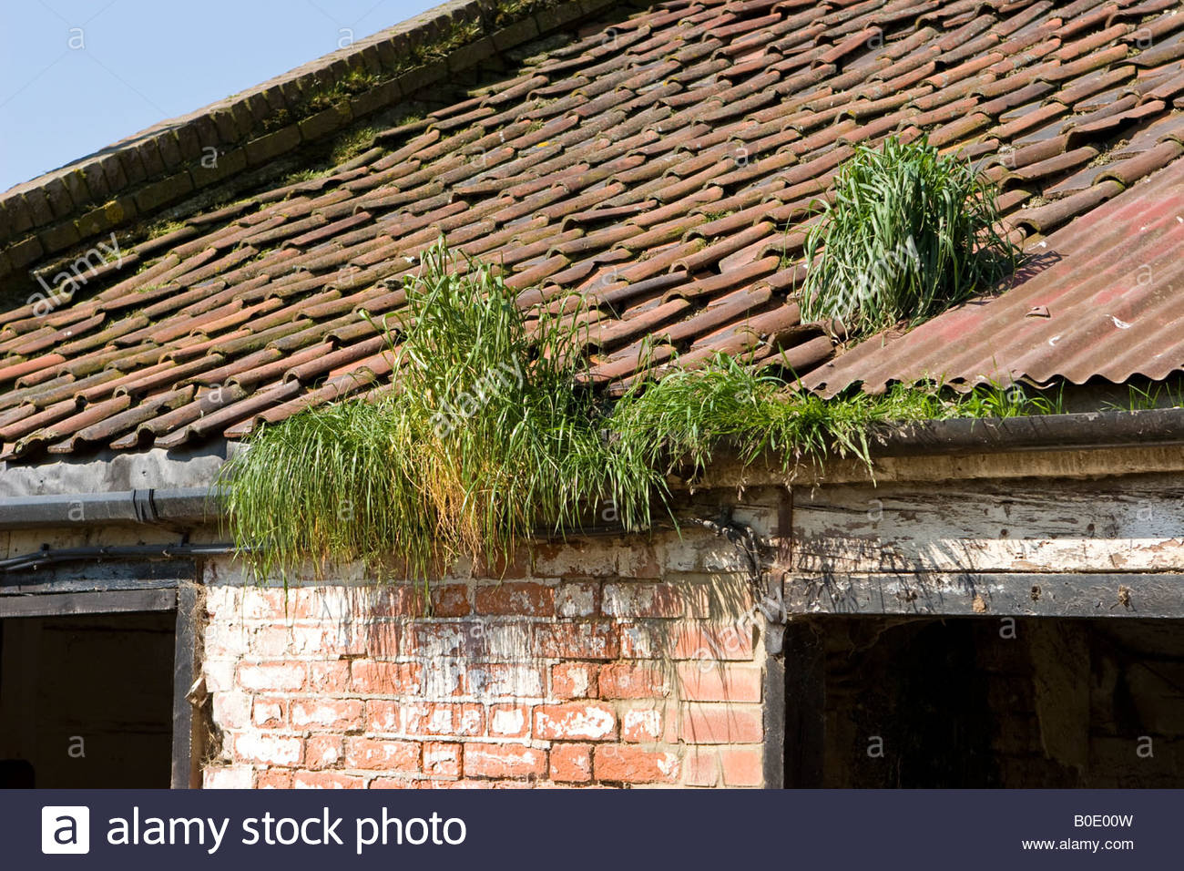 Old Farm Building High Resolution Stock Photography and Images - Alamy