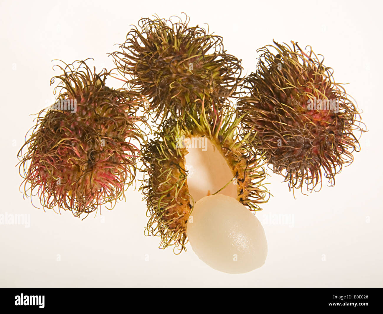Unpeeled rambutan hi-res stock photography and images - Alamy