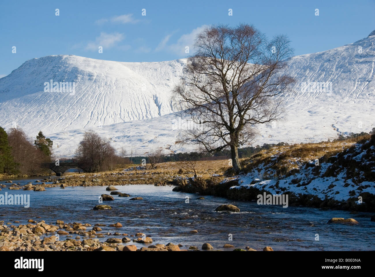 A river and trees with a snowy mountain background on Rannoch Moor ...