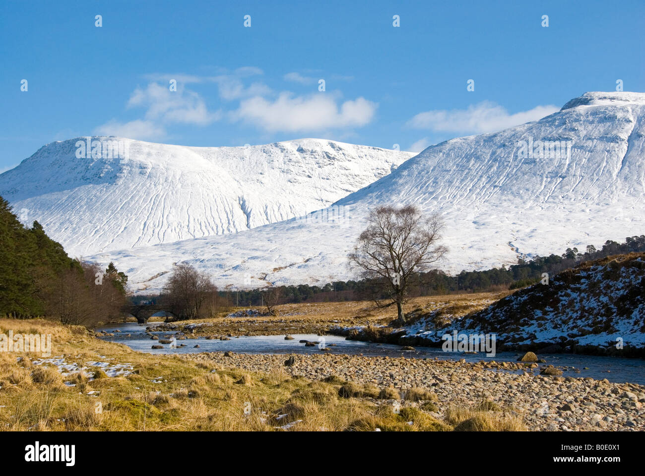 A river and trees with a snowy mountain background on Rannoch Moor ...