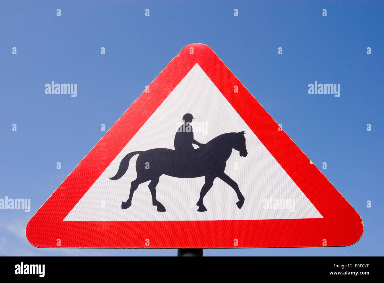 Beware Horses Sign in the uk Stock Photo - Alamy