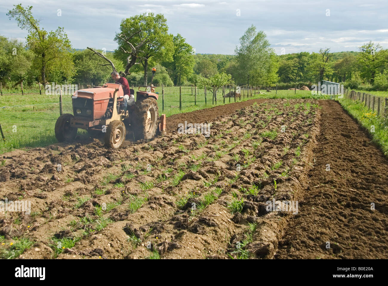 Stock photo of a tractor rotavating the soil to produce a fine tilth ...