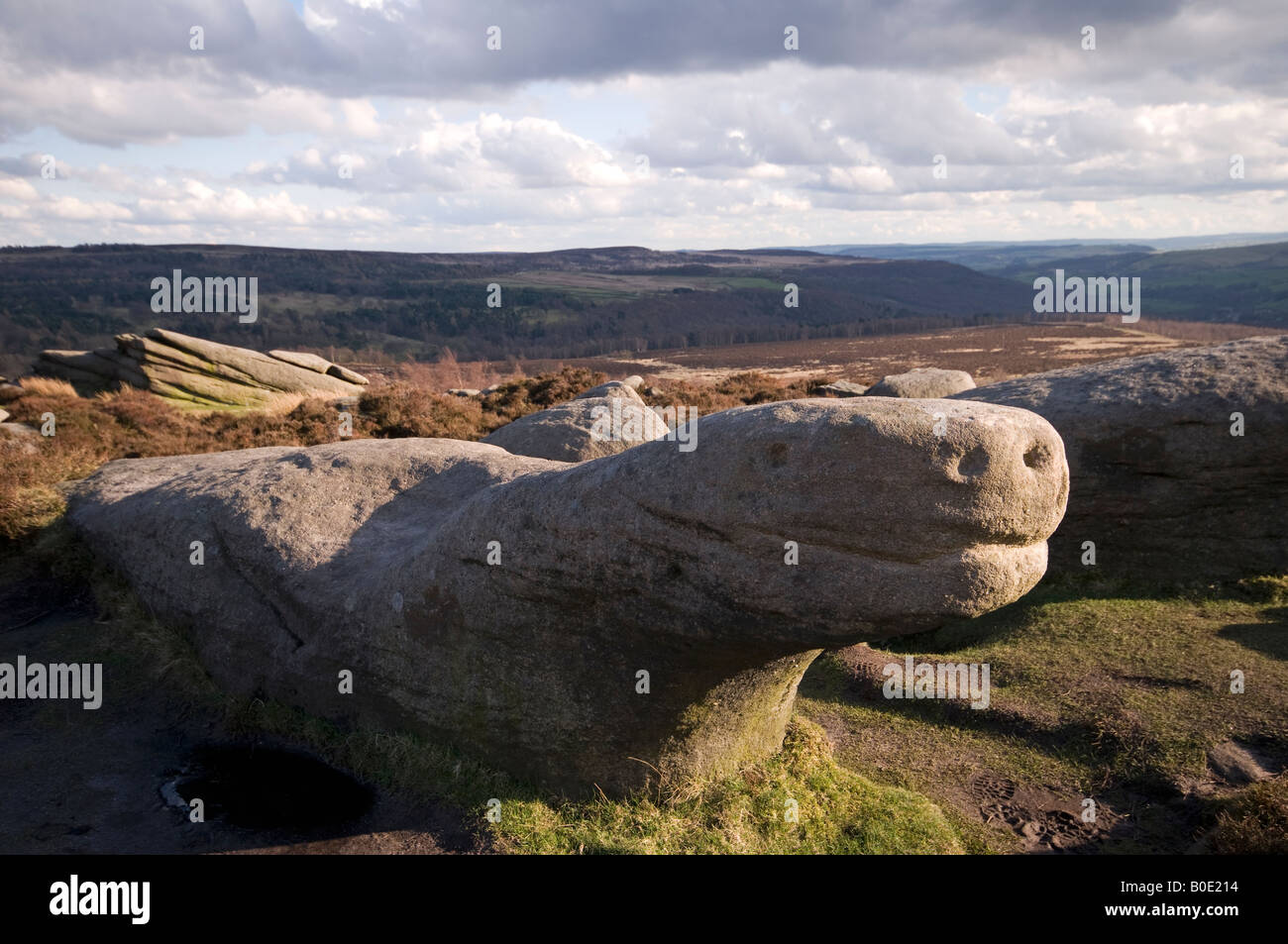 Dinosaur shaped rock on Millstone edge Peak District National Park ...