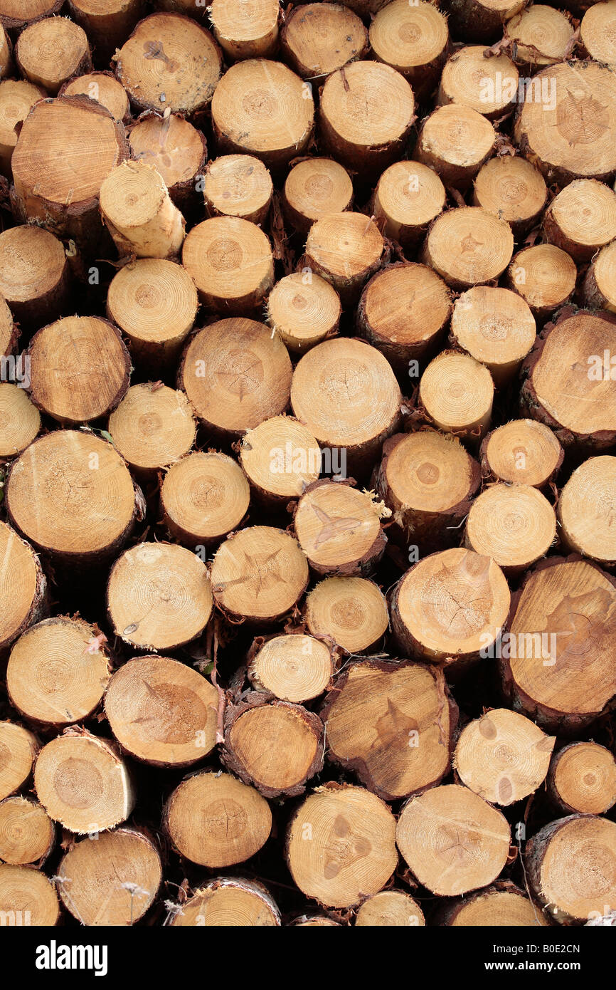 Sawn log ends hi-res stock photography and images - Alamy