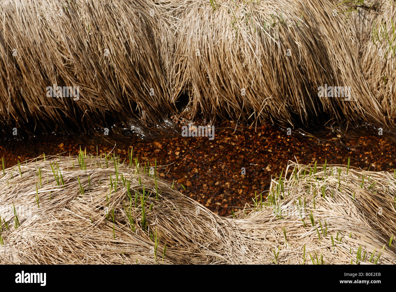 Modrava Sumava National Park Czech Republic Stock Photo - Alamy
