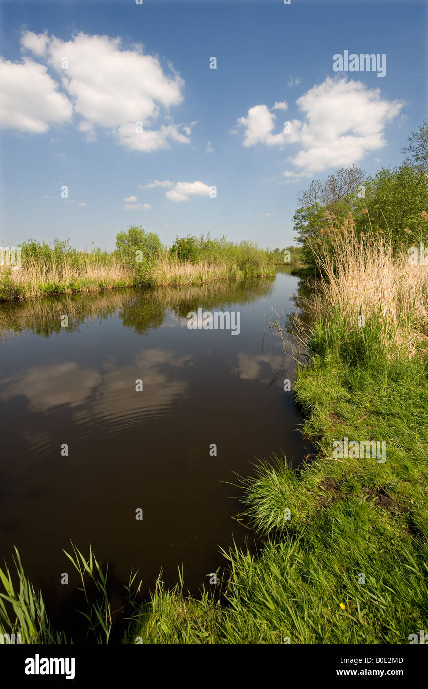 Dutch polder landscape with river Stock Photo - Alamy