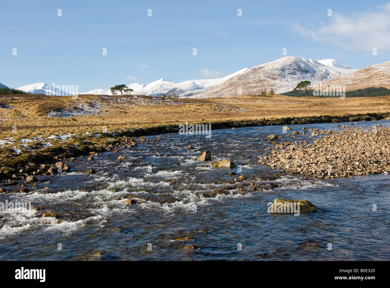 A river and trees with a snowy mountain background on Rannoch Moor ...