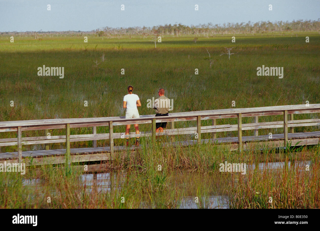 Visitors search for wildlife along a boardwalk above a cypress swamp on ...