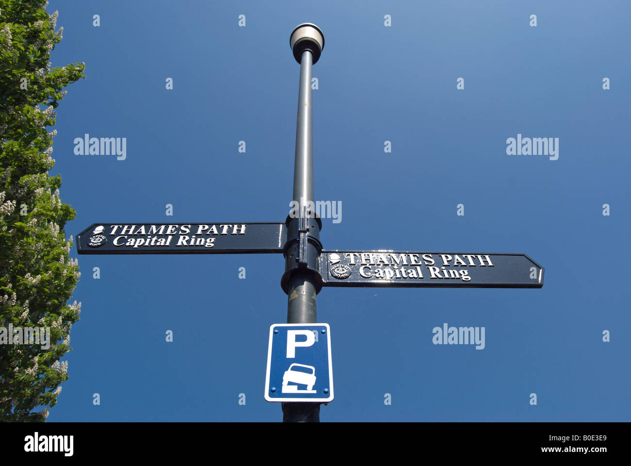 british lamppost holds signs marking the route of the capital ring and ...