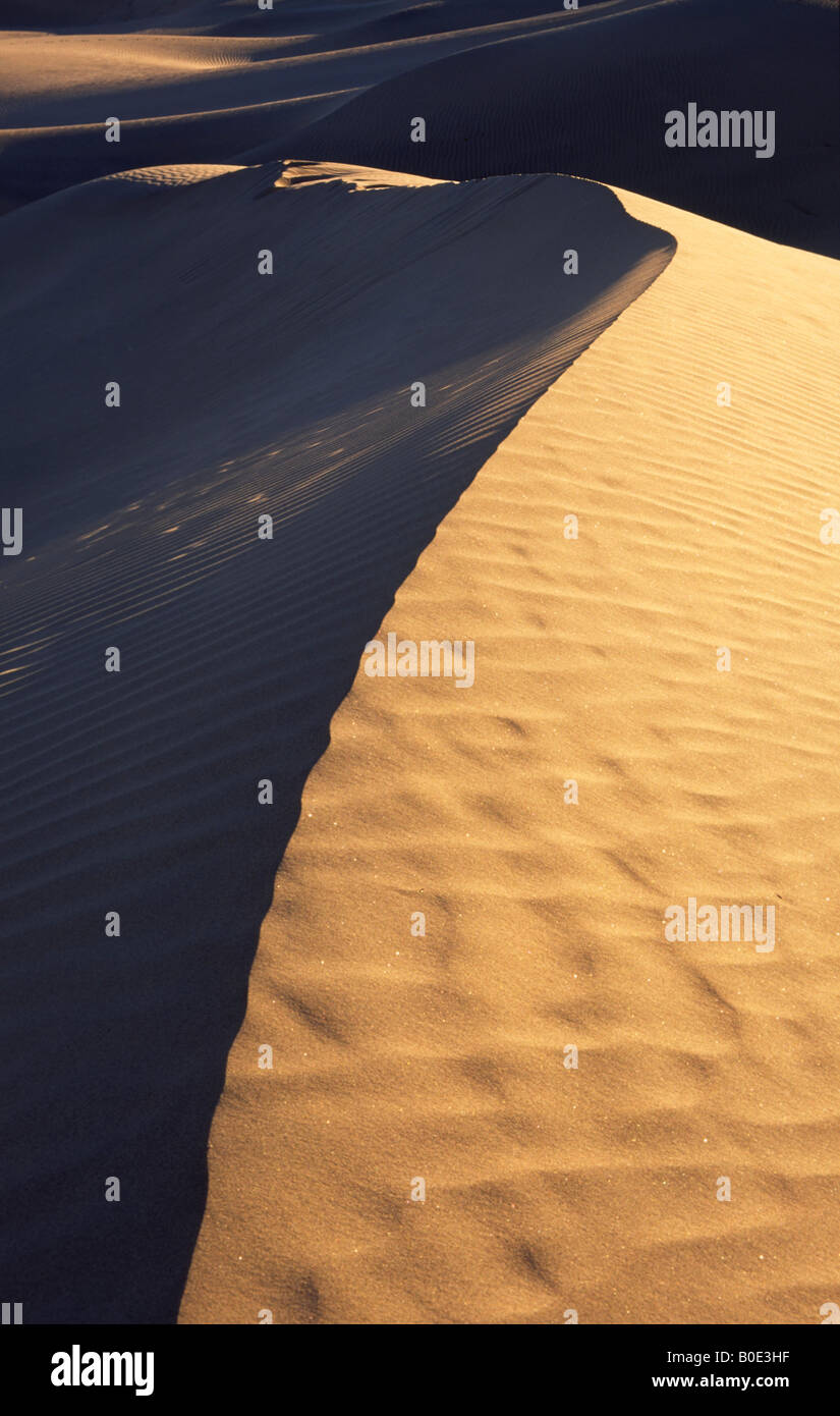 Crest of a large sand dune in Death Valley at sunset Stock Photo - Alamy
