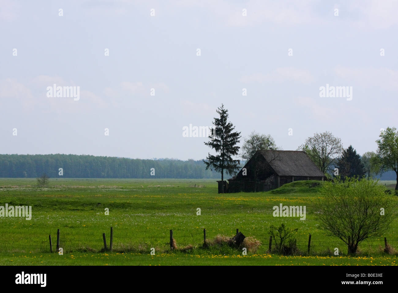 Country flat landscape, country farm on meadow Stock Photo - Alamy