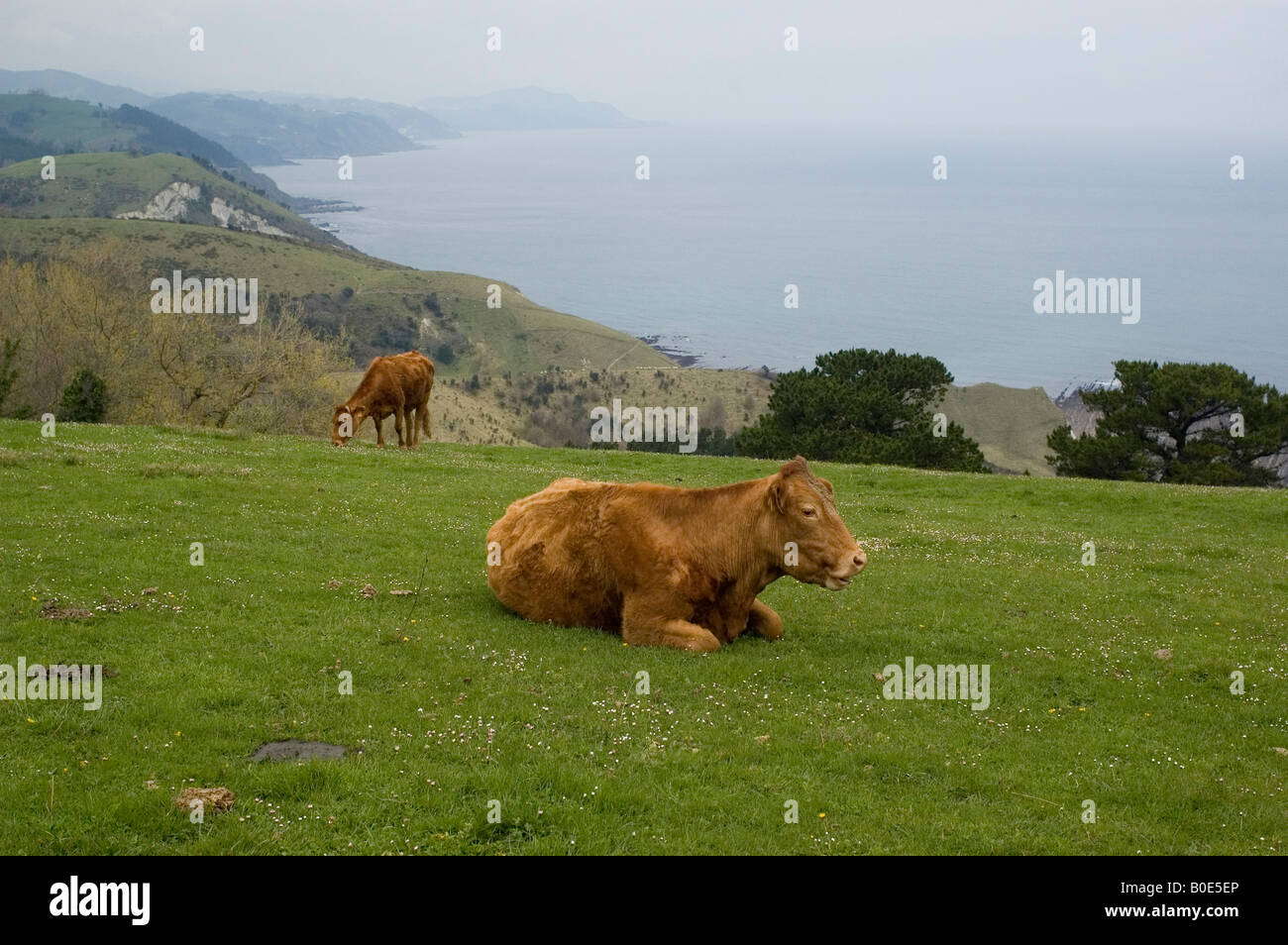 Coast between Zumaia and Deba BASQUE COUNTRY Spain Stock Photo - Alamy