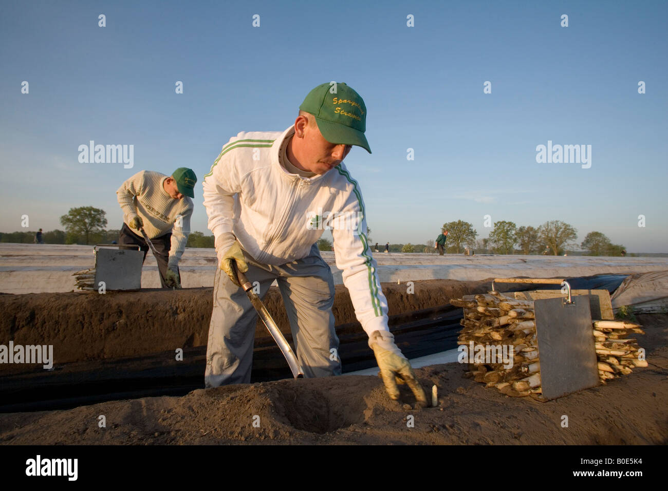 Polish migrant workers hi-res stock photography and images - Alamy
