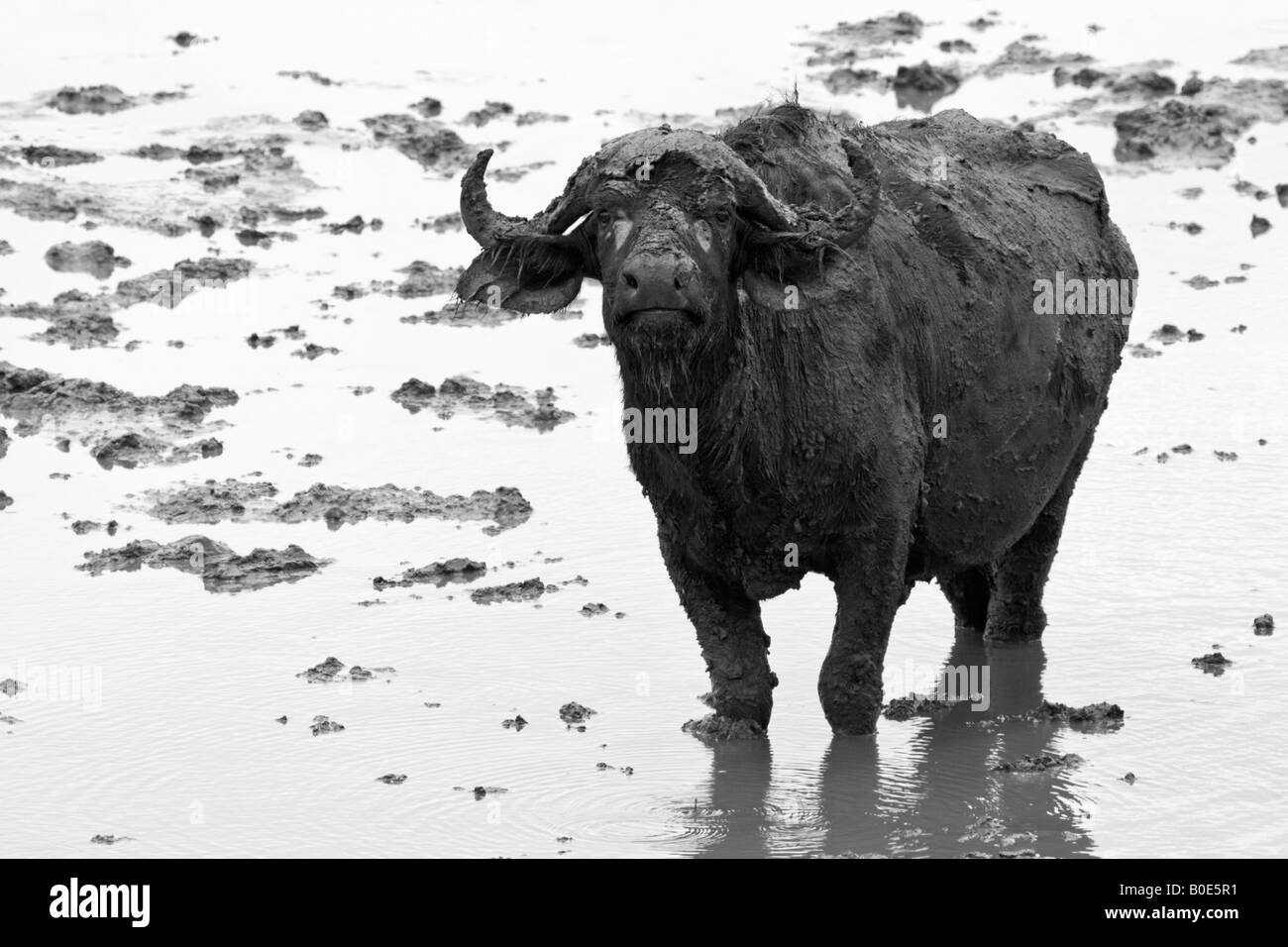 Game of the hours Black and White Stock Photos & Images - Alamy