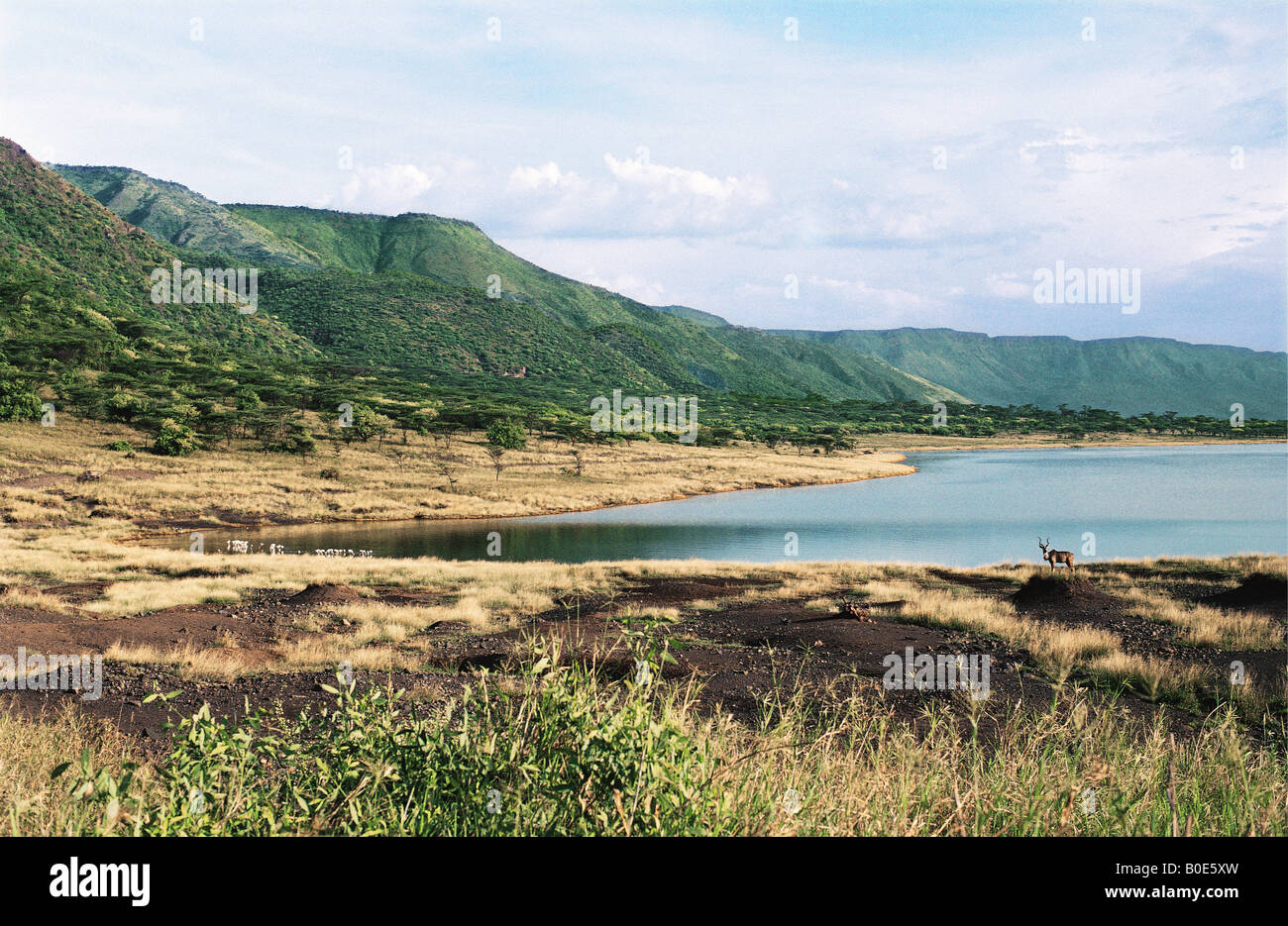 Rift valley escarpment kenya hi-res stock photography and images - Alamy