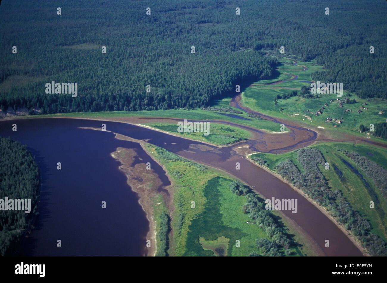Siberian Taiga - Ural Mountains - Siberia Stock Photo - Alamy