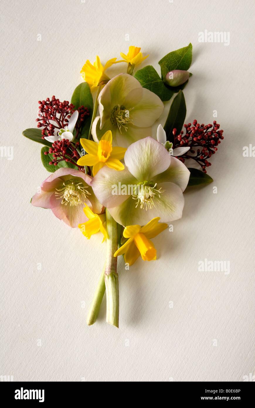 Spring posy hi-res stock photography and images - Alamy