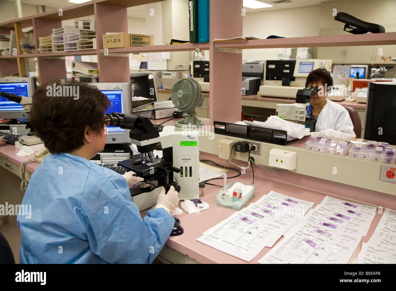Medical technologists check blood samples of abnormal cells Stock Photo ...