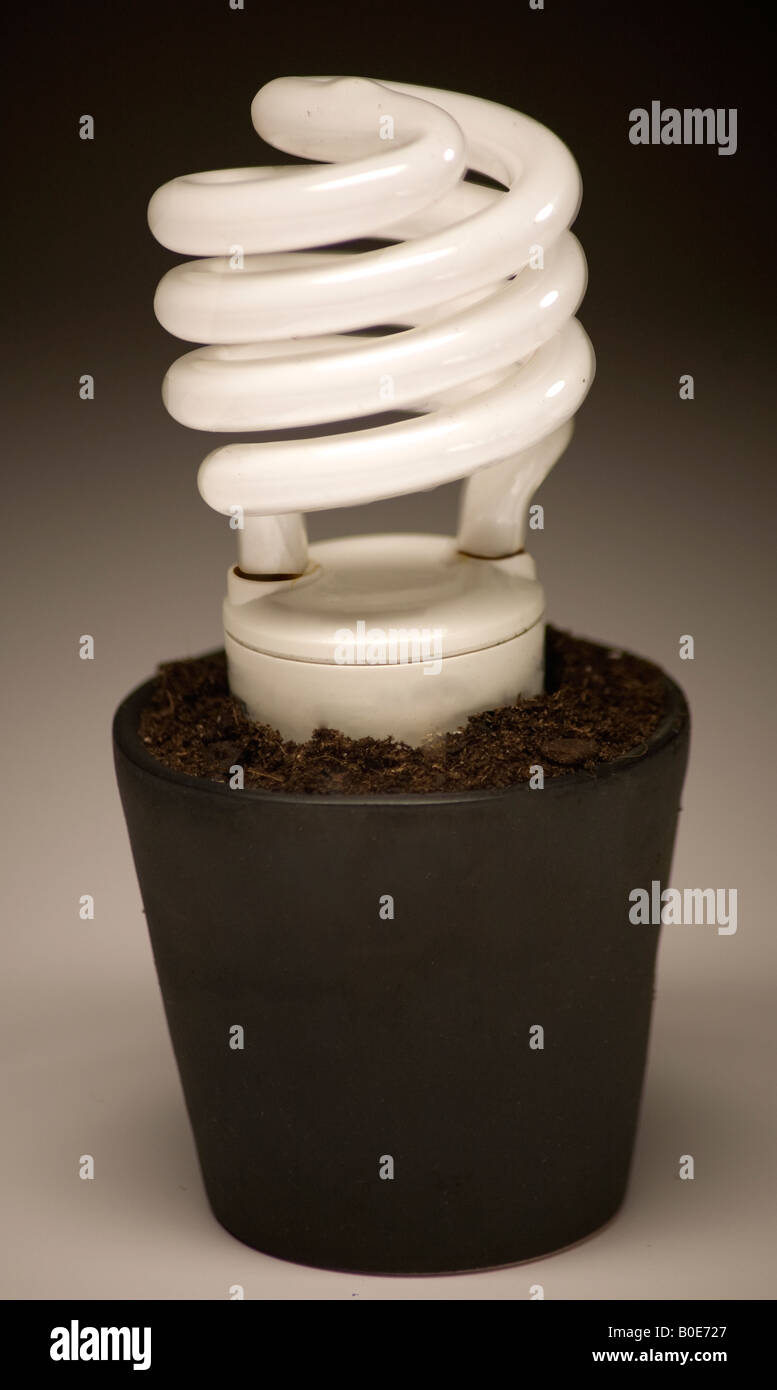Light bulb plant hi-res stock photography and images - Alamy