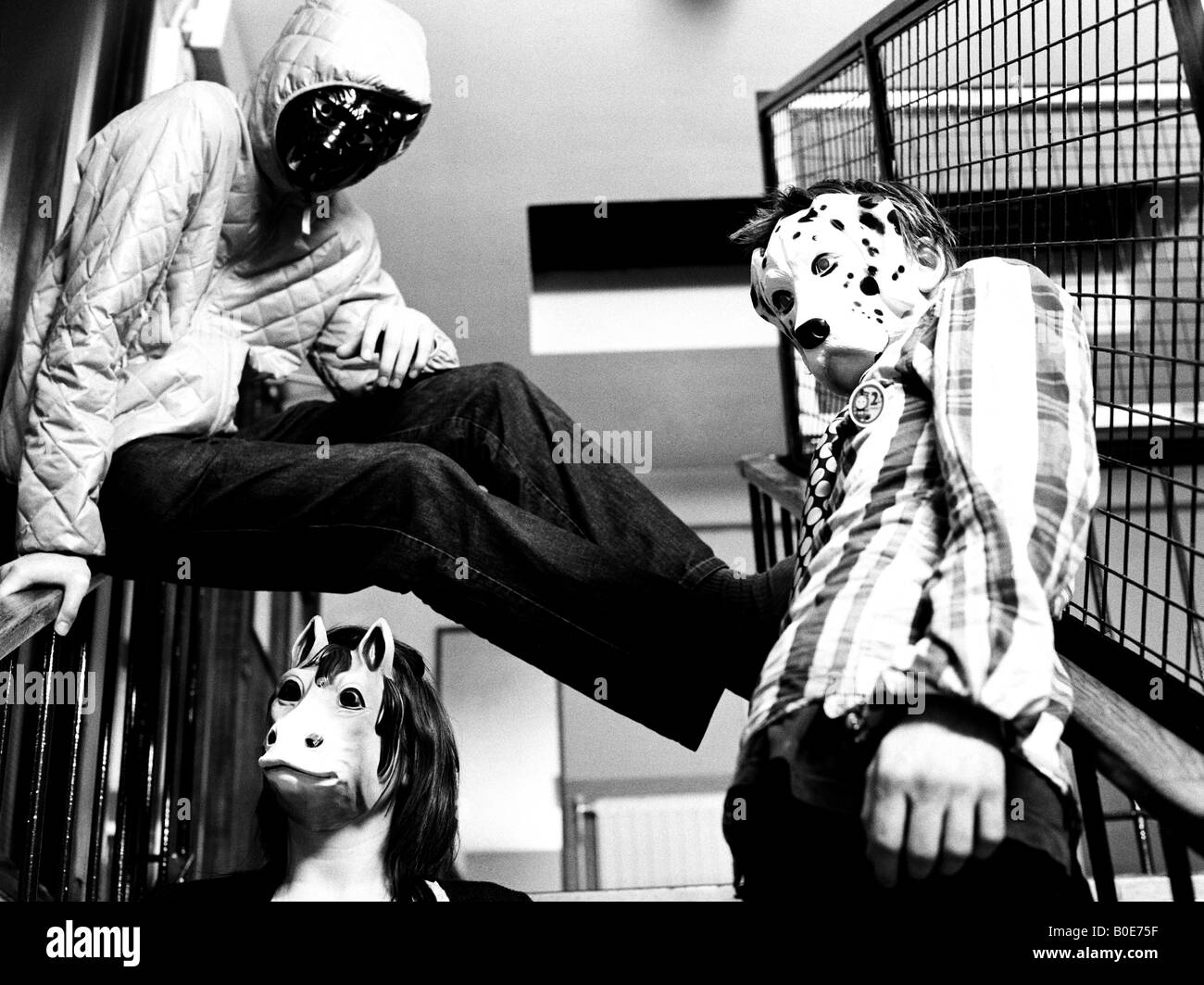 People like animals Stock Photo - Alamy