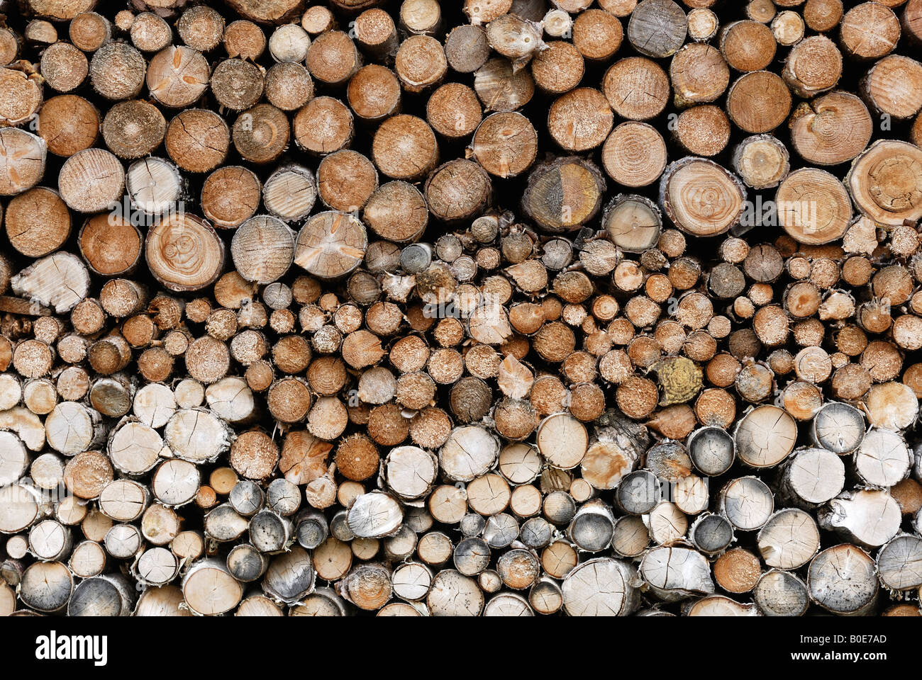 Stack of firewood Stock Photo - Alamy