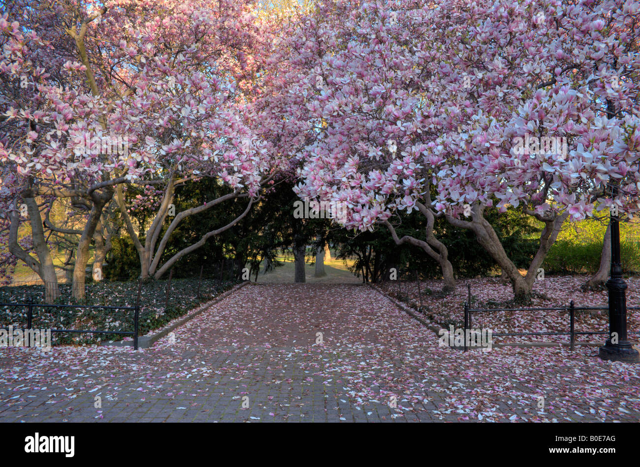 Early spring in central park Stock Photo - Alamy