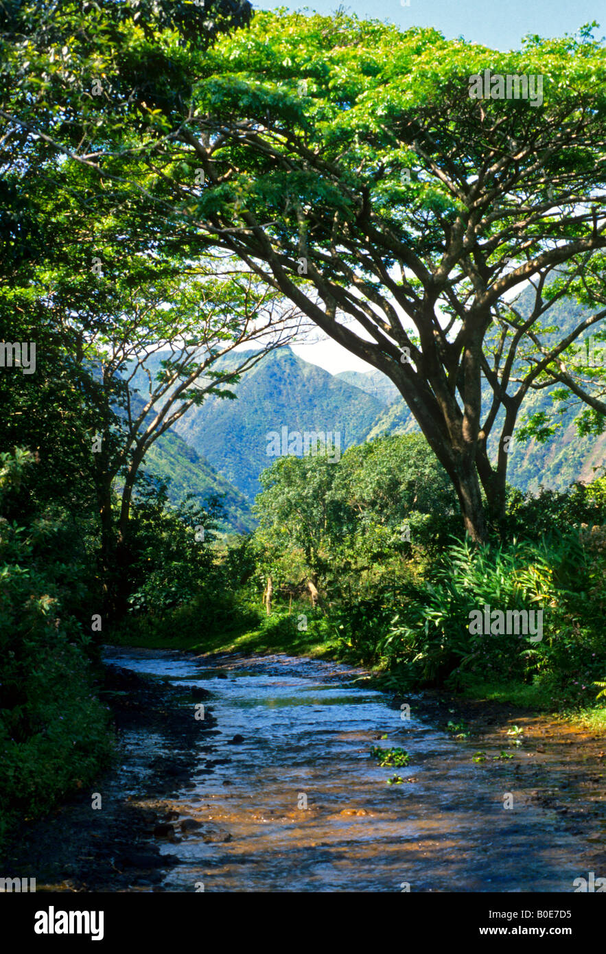 Waipi‘o valley hi-res stock photography and images - Alamy