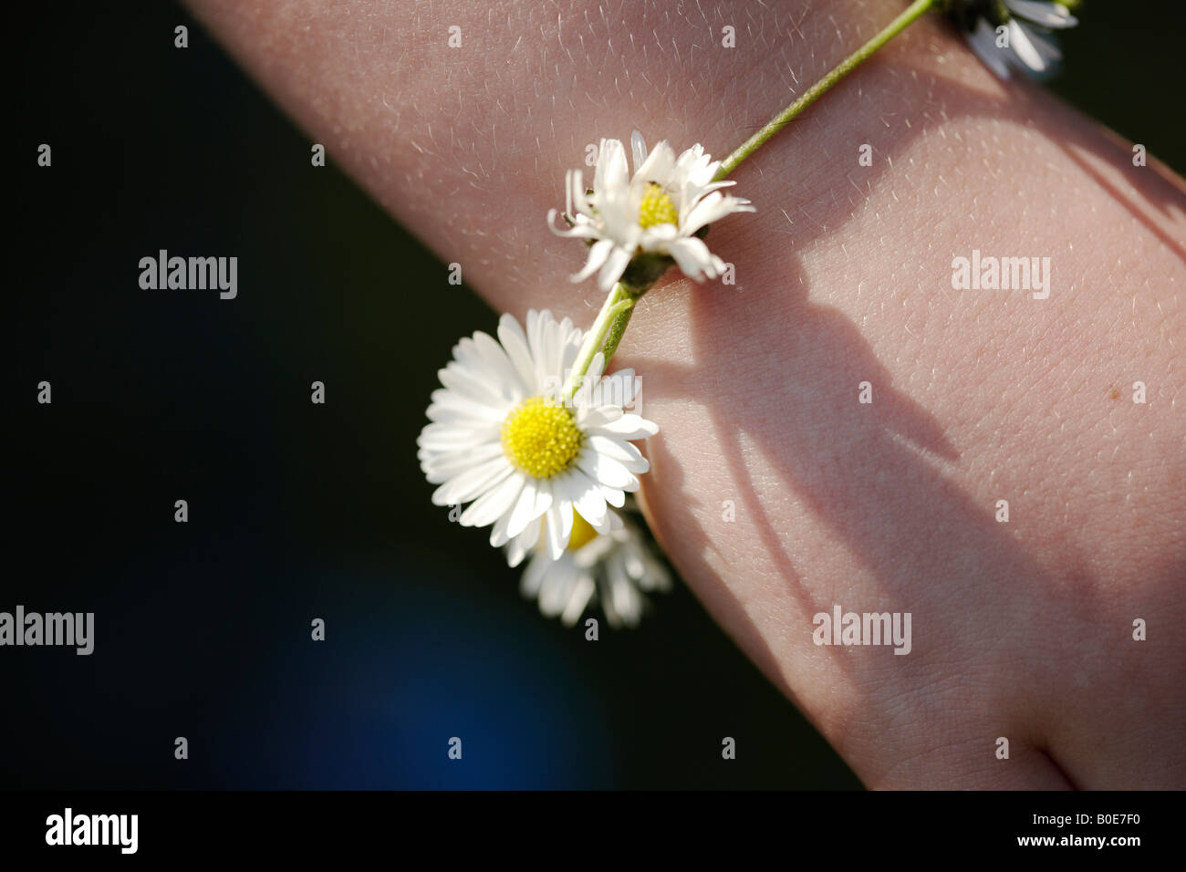 Wrist chains hi-res stock photography and images - Alamy