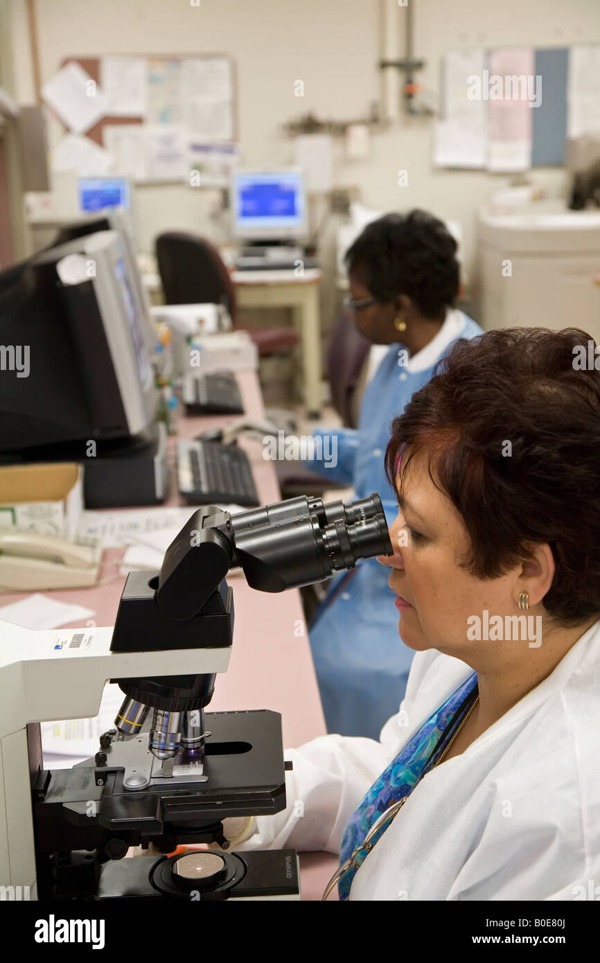 Medical technologist checks blood samples of abnormal cells Stock Photo ...