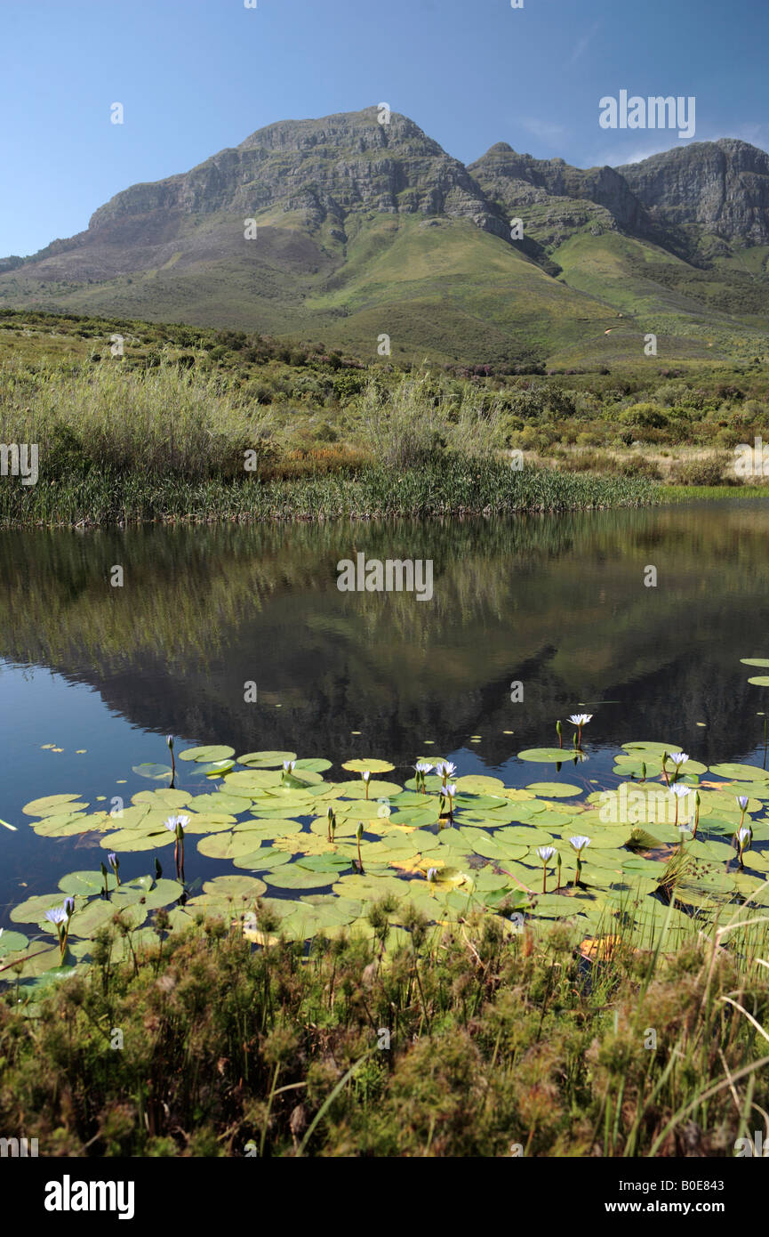 Helderberg mountains hi-res stock photography and images - Alamy
