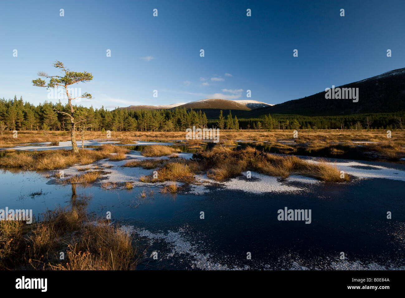 Invereshie hi-res stock photography and images - Alamy