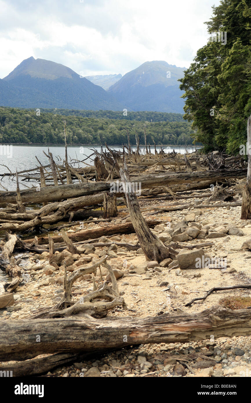 Lookout point at Lake Monowai reservoir in Fiordland national park ...