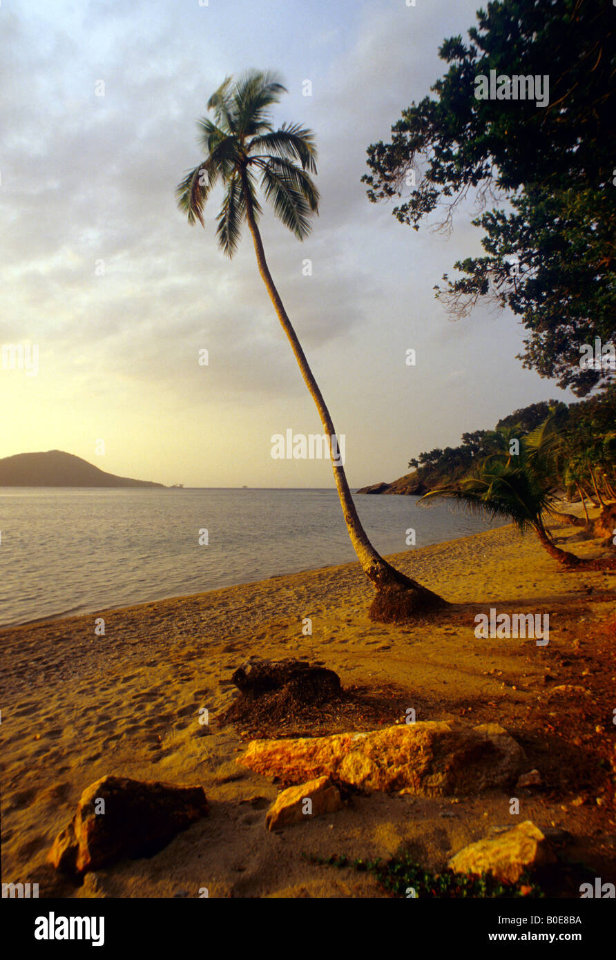 Cayos cochinos honduras hi-res stock photography and images - Alamy