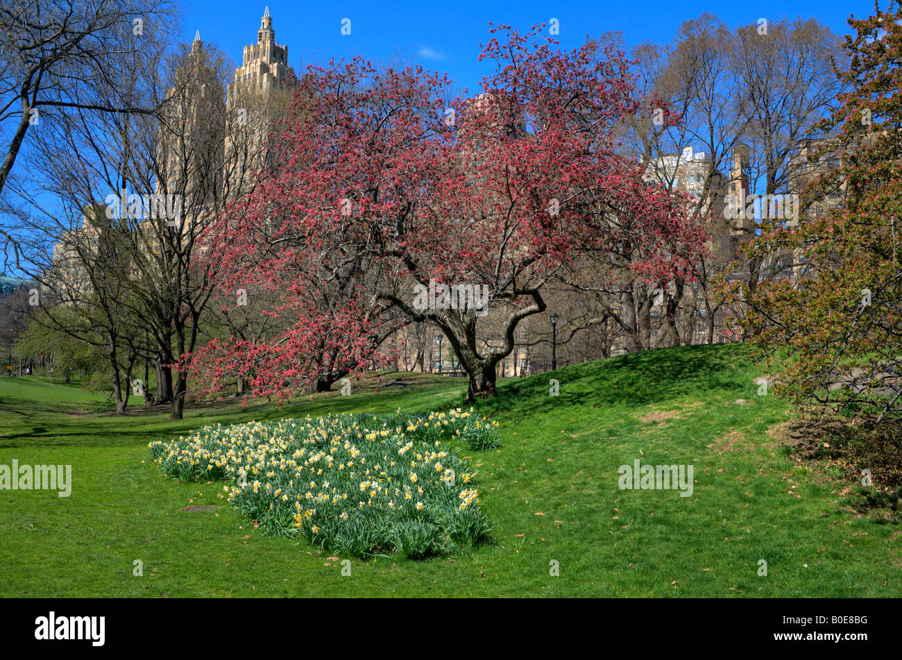 Upper west side sunrise hi-res stock photography and images - Alamy