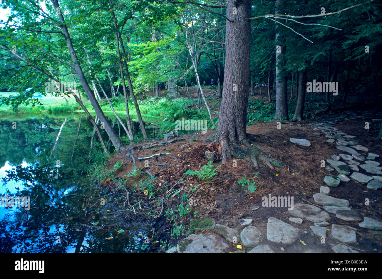 York stone path hi-res stock photography and images - Alamy