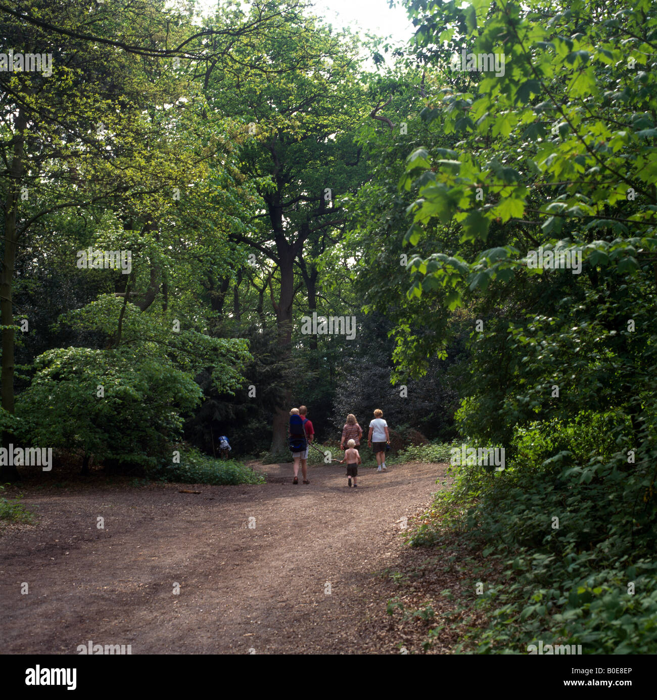 Richmond Park Surrey People Walking On Path Late Spring Stock Photo - Alamy