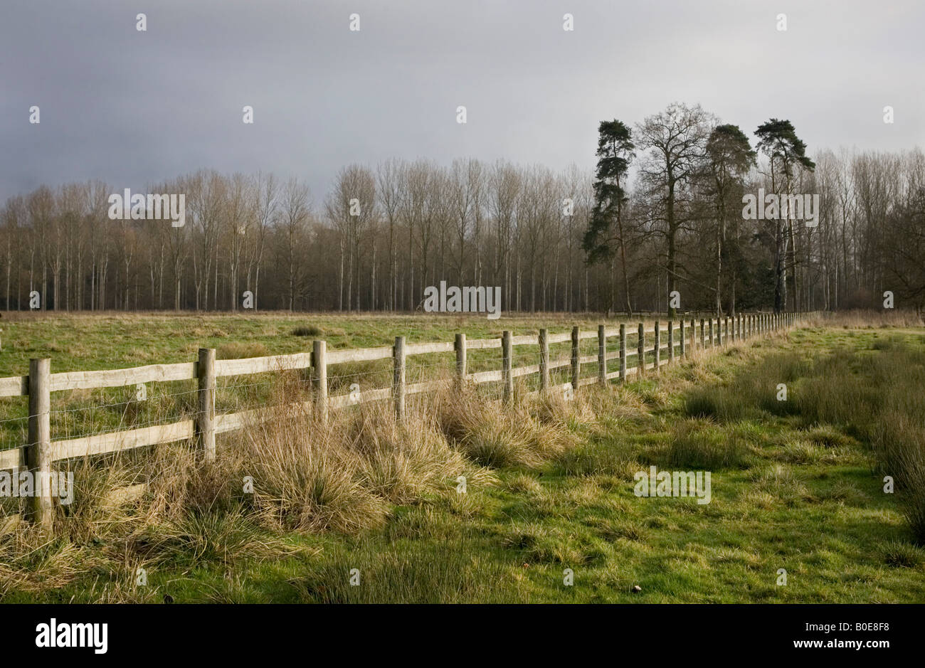 Hay pole hi-res stock photography and images - Alamy