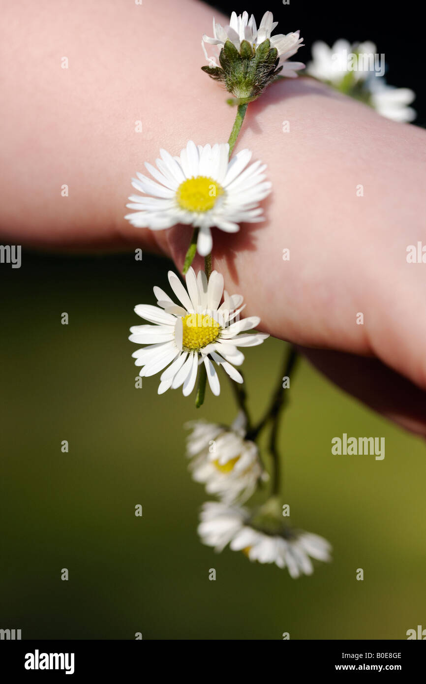 Daisy chain, on a young girl's wrist Stock Photo - Alamy