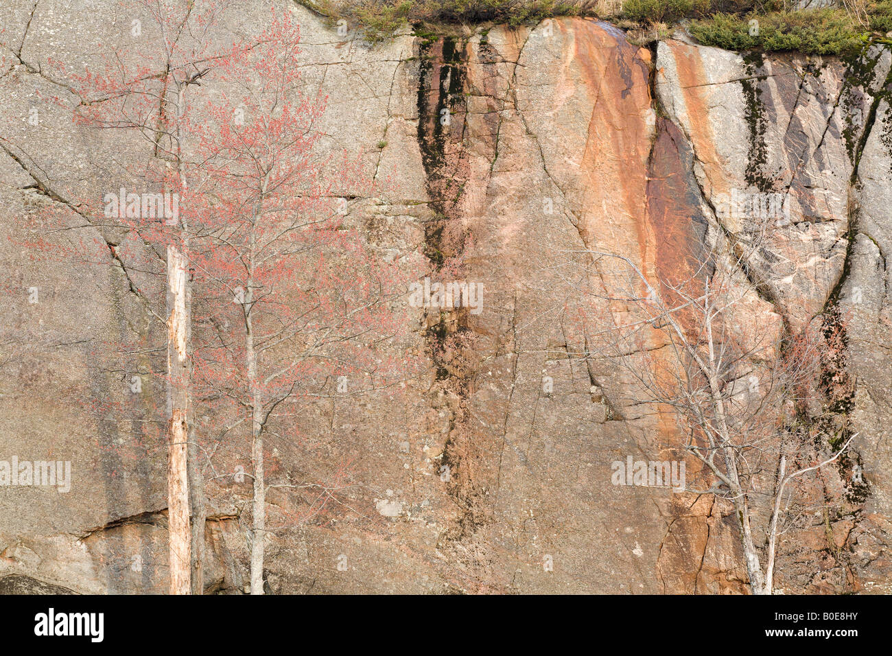 Rock face, Muskoka, Ontario, Canada Stock Photo - Alamy