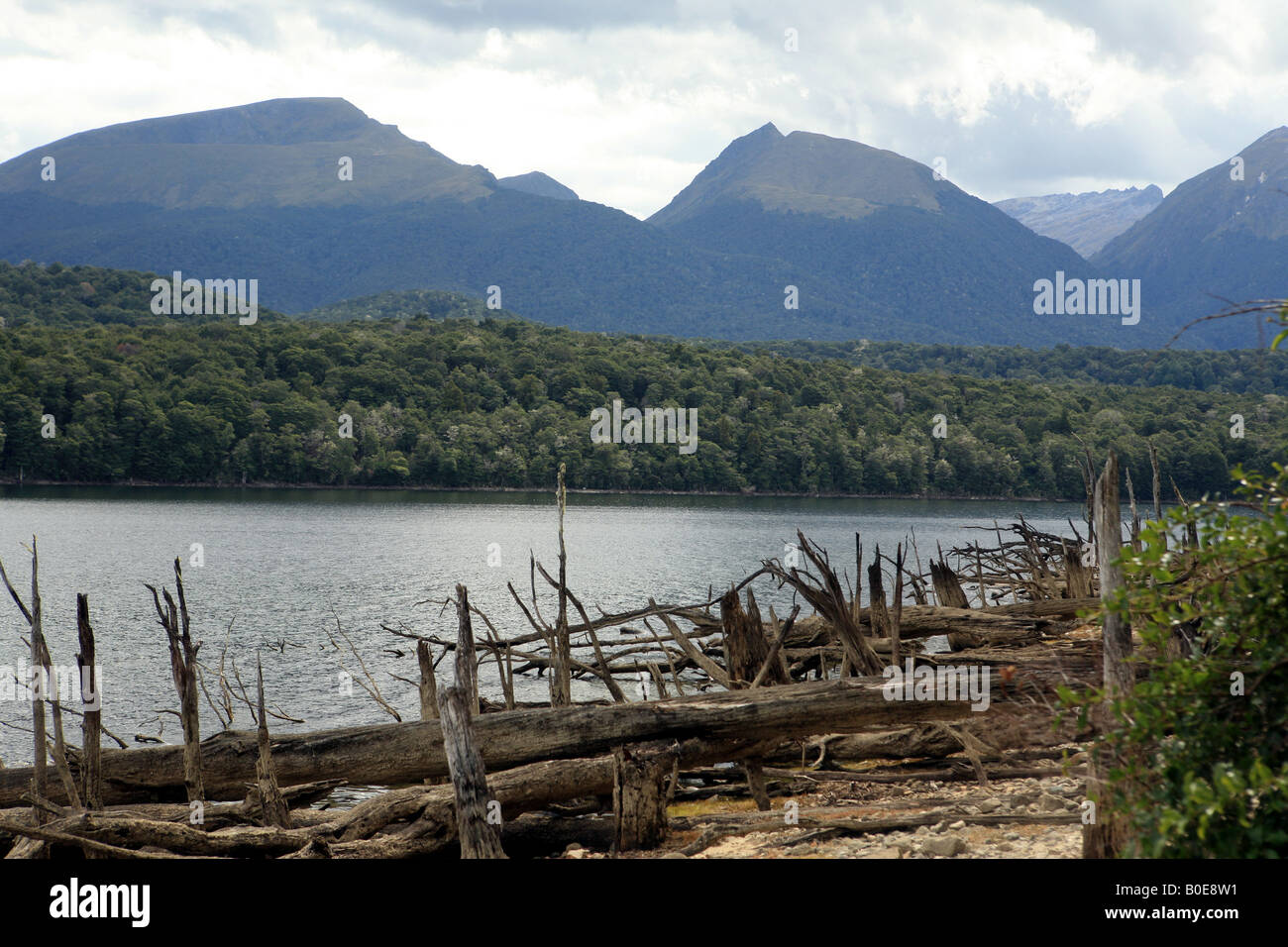 Lookout point at Lake Monowai reservoir in Fiordland national park ...