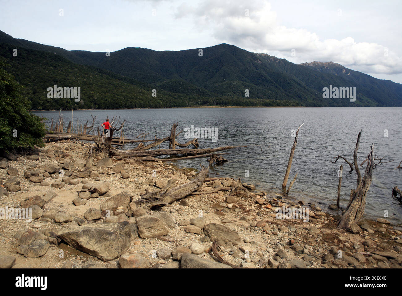 Lookout point at Lake Monowai reservoir in Fiordland national park ...