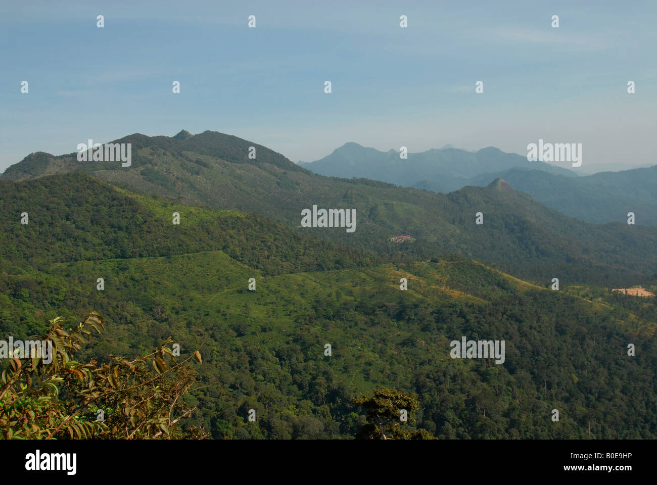 ponmudi hills, kerala,india Stock Photo - Alamy