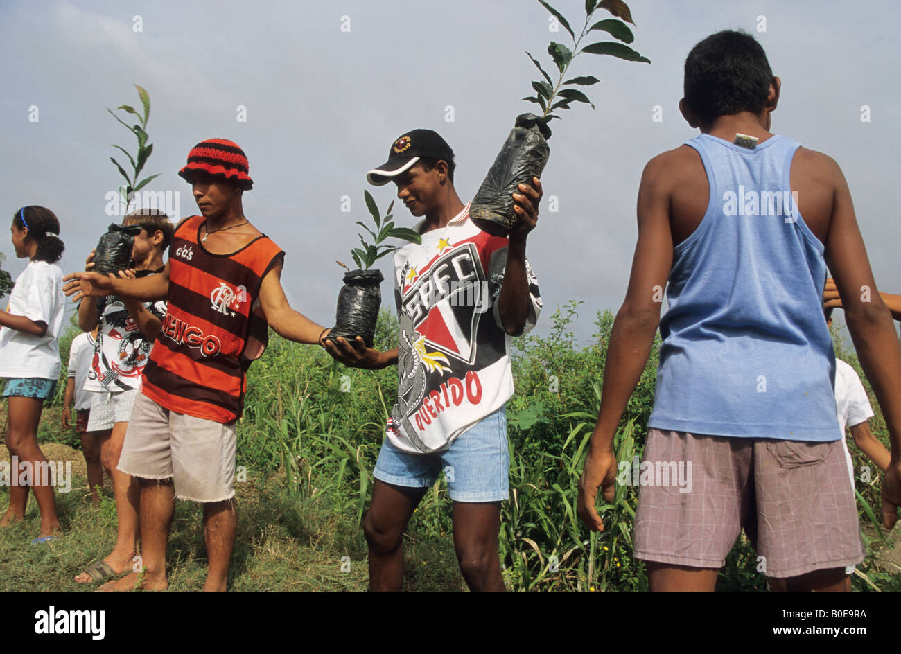 remote rainforest community unloading rainforest tree seedlings to ...