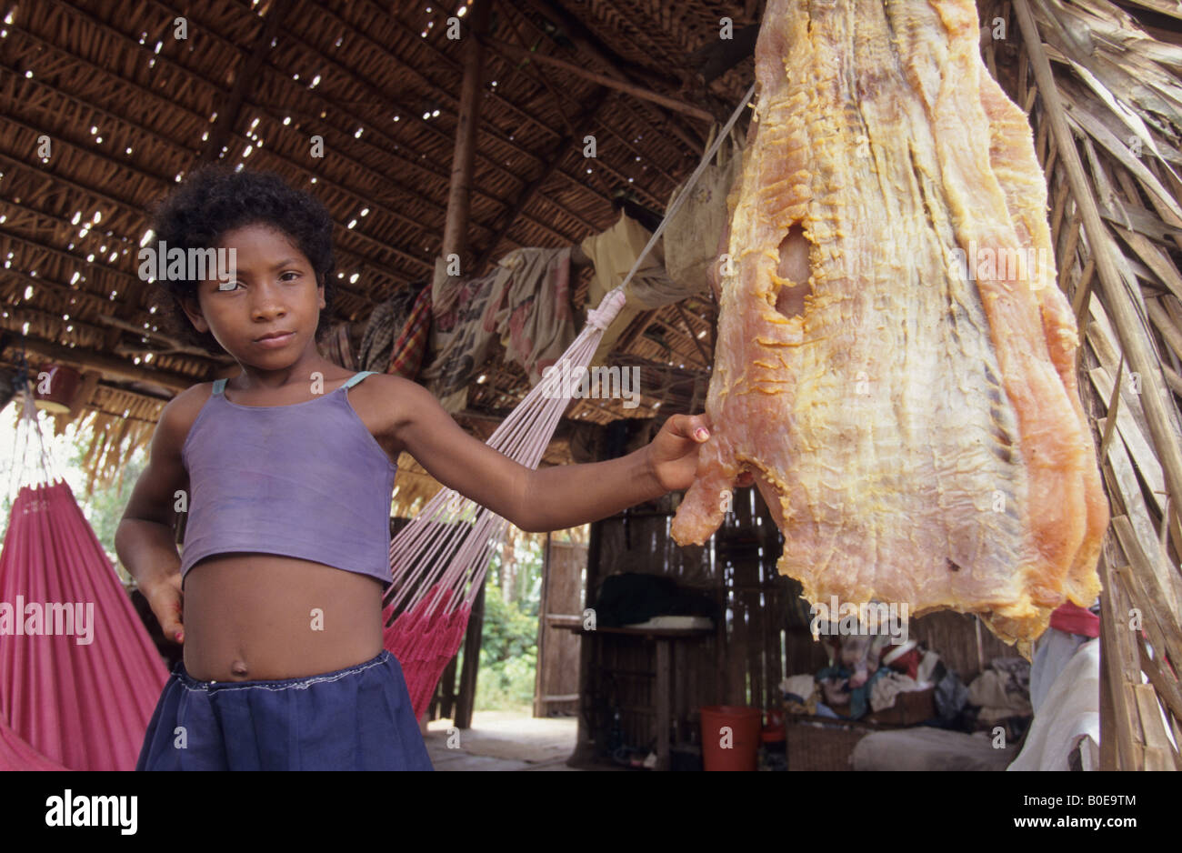 young girl with a smoked fillet from a piraracu fish (second largest ...