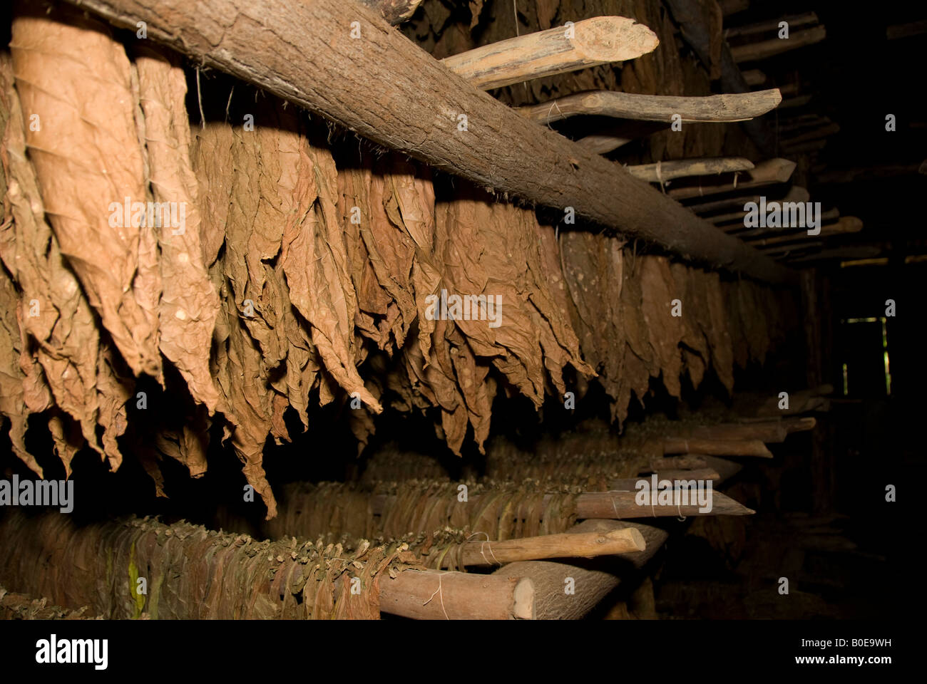 Agricultural dry drying hi-res stock photography and images - Alamy