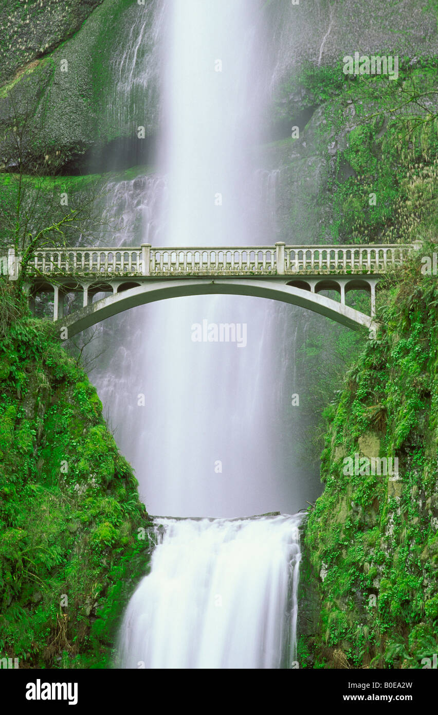 Multnomah Falls and bridge Mount Hood National Forest Columbia River ...