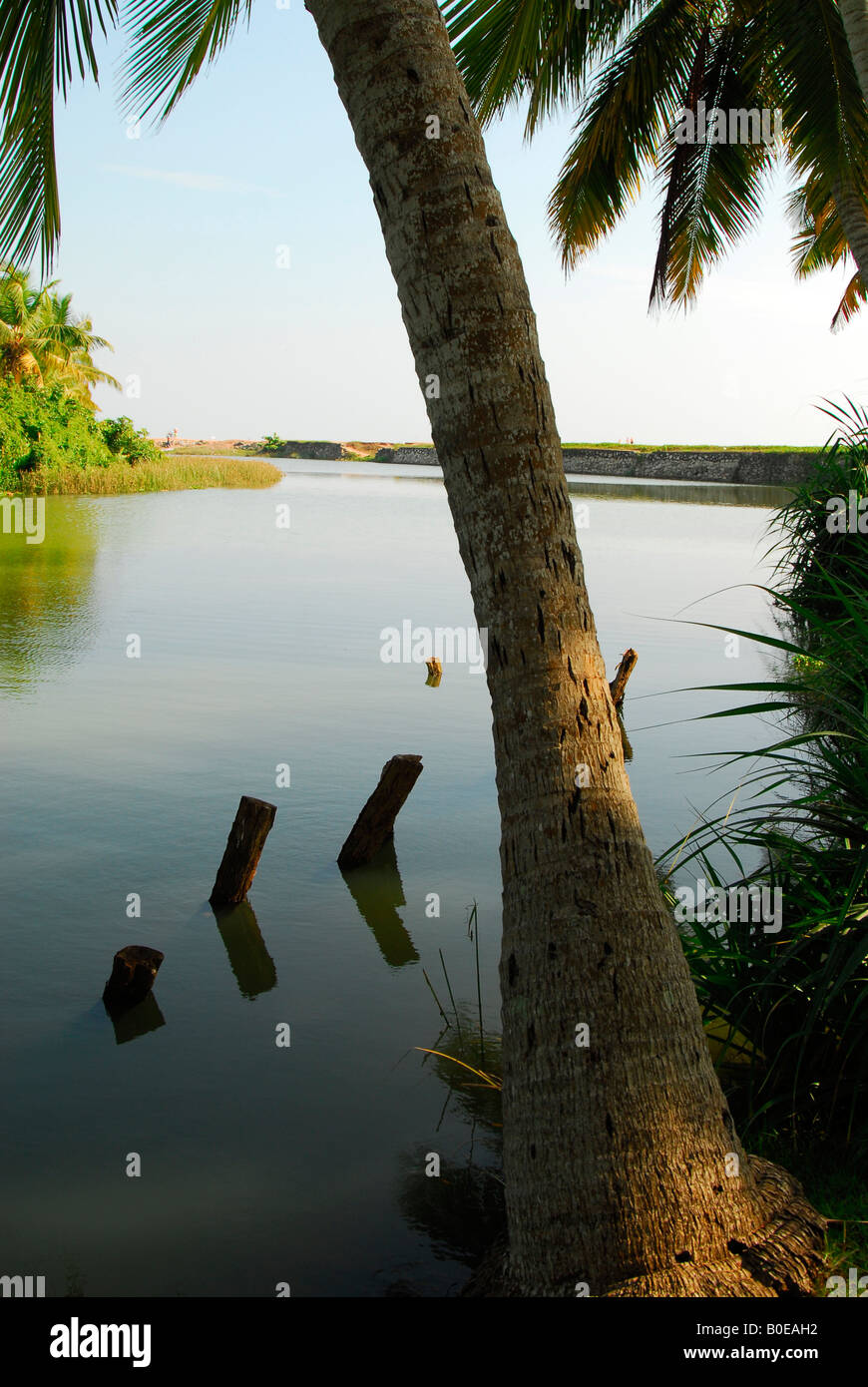 Lake view in velli ,Trivandrum ,kerala ,india Stock Photo - Alamy