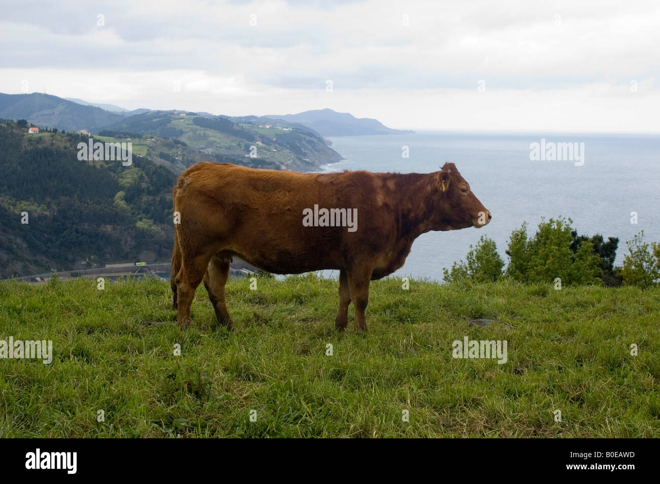 Coast between Zumaia and Deba BASQUE COUNTRY Spain Stock Photo - Alamy