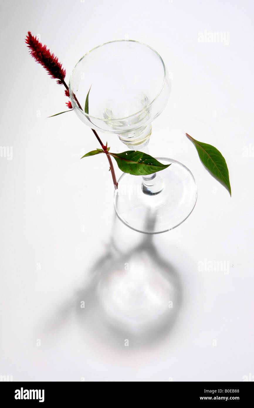 A Still Life. A glass stands empty Stock Photo - Alamy