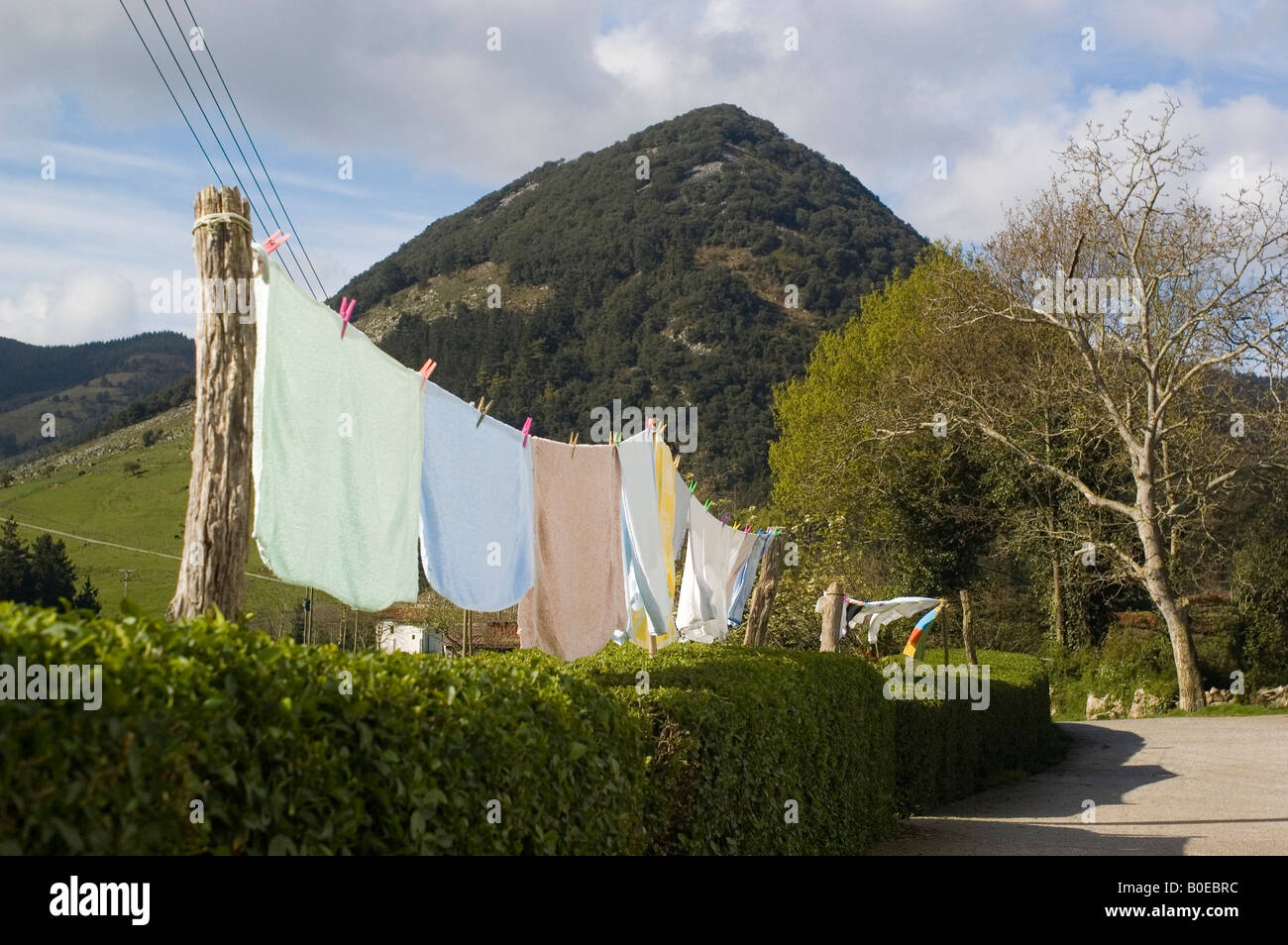 árbol de gernika hi-res stock photography and images - Alamy